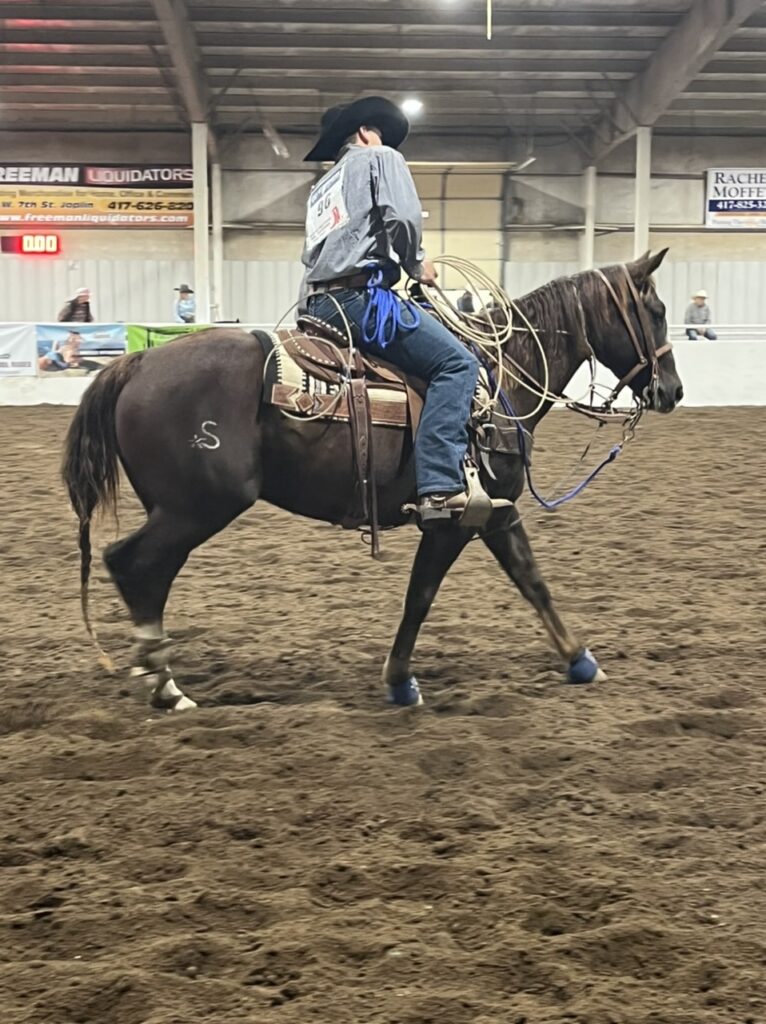 Semi Annual Midwest Draft Cross and Quarter Horse Sale, Jamesport ...