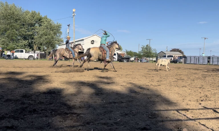 Ranch Rodeo vs. Rodeo: A Basic Guide To Rodeos- How Cowboy Are You ...